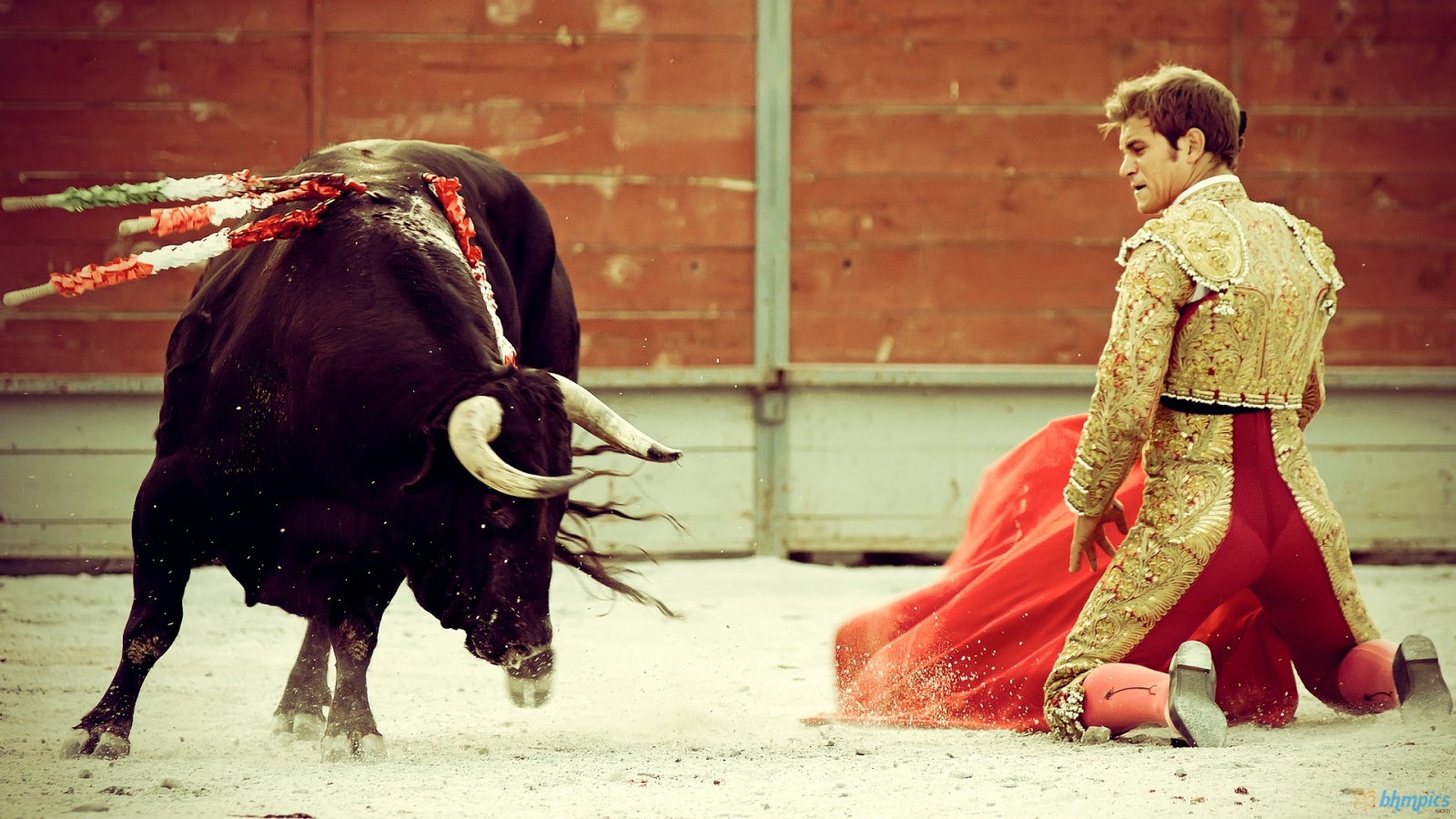 Bull Fighting hd wallpapers | Movies Songs Lyrics