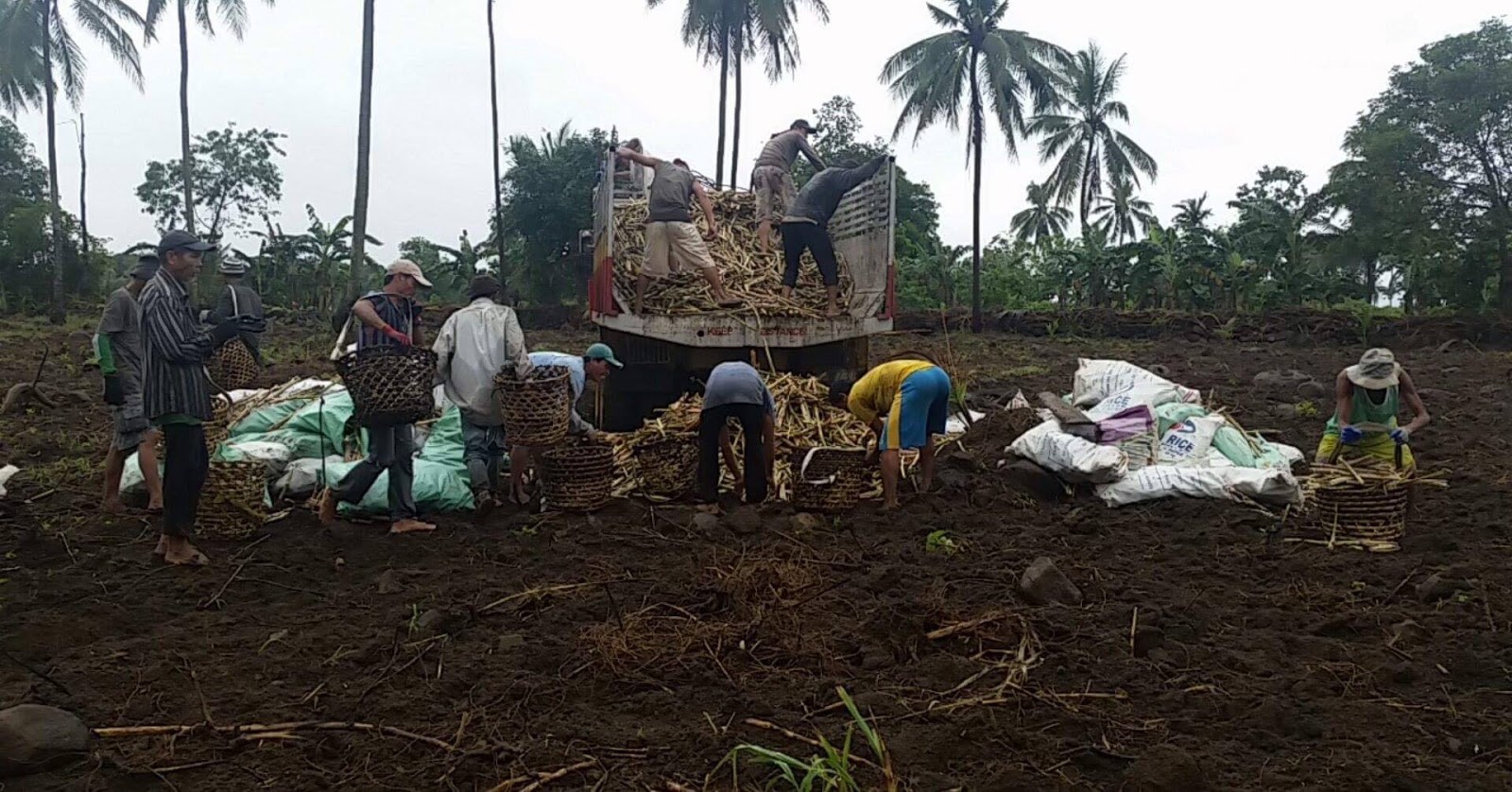 WIMLER.org: Faces of Migration and Return: Story 1 - Alvir Catacutan