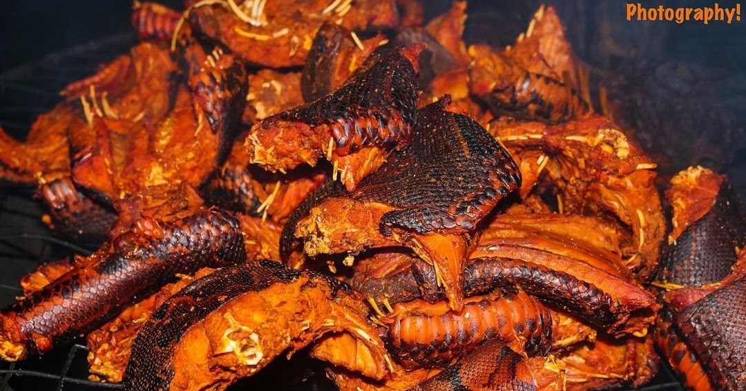 Ever Heard Of Grilled Snake Meat? Here's What It Looks Like | DR KEVWE ...