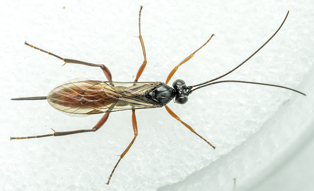 Utgångspunkt 63° 31,x' N - 22° 31,x' O