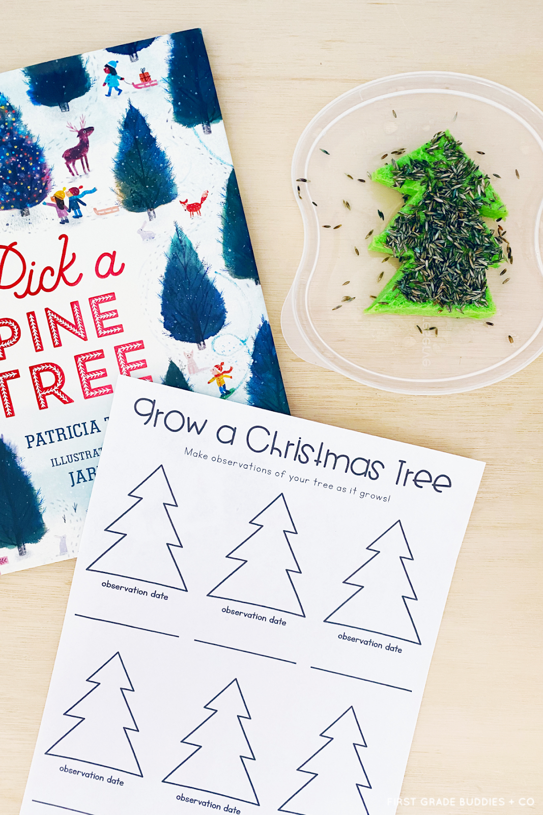 Simple Science : Grow a Tree | First Grade Buddies