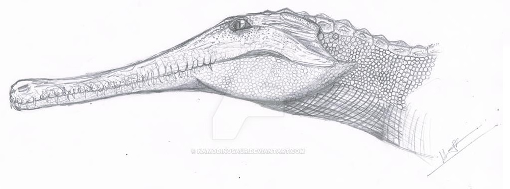 a mesozoic field guide: The Early Jurassic