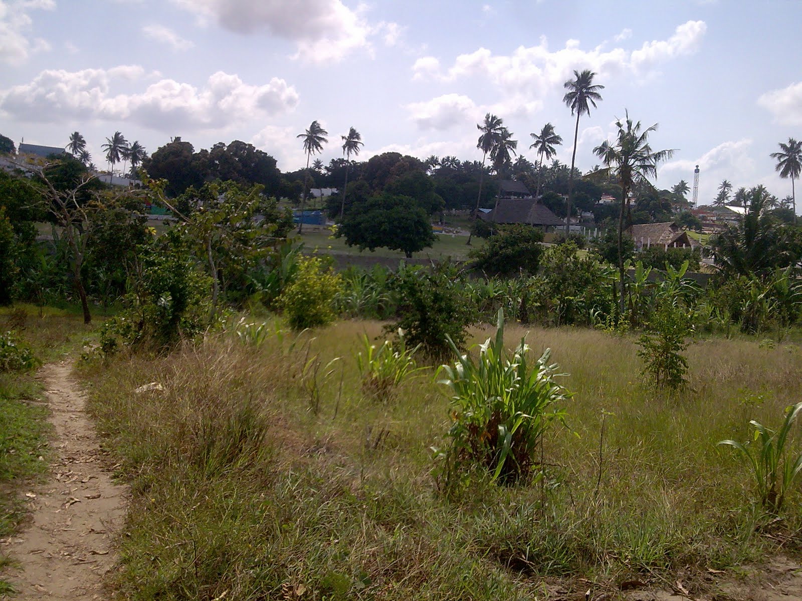 REAL ESTATE AGENCY: VIWANJA VINAUZWA KIGAMBONI