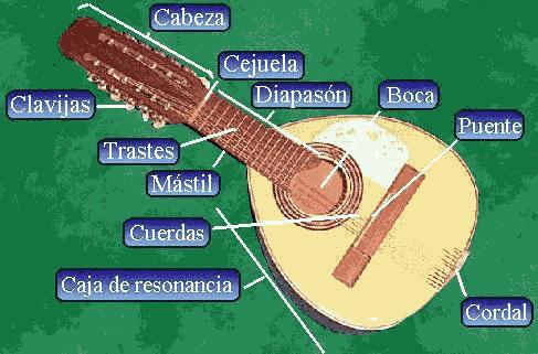 MUSICAL GÁLDAR: Partes de la Bandurria