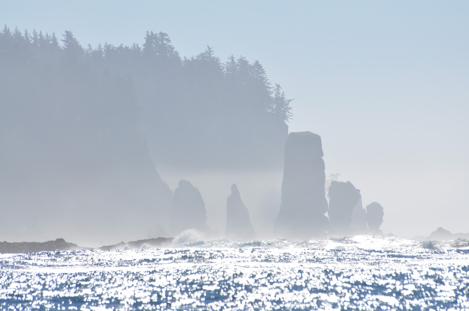 Blue Bossa's Blogs: Friday Harbor to Half Moon Bay in California