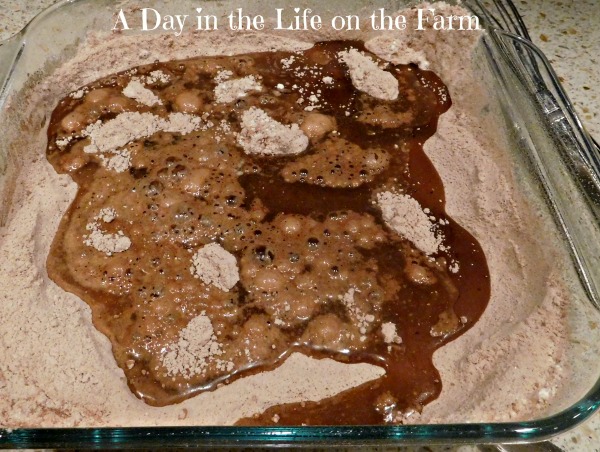 A Day in the Life on the Farm: Easy One Pan Mocha Cake # ...