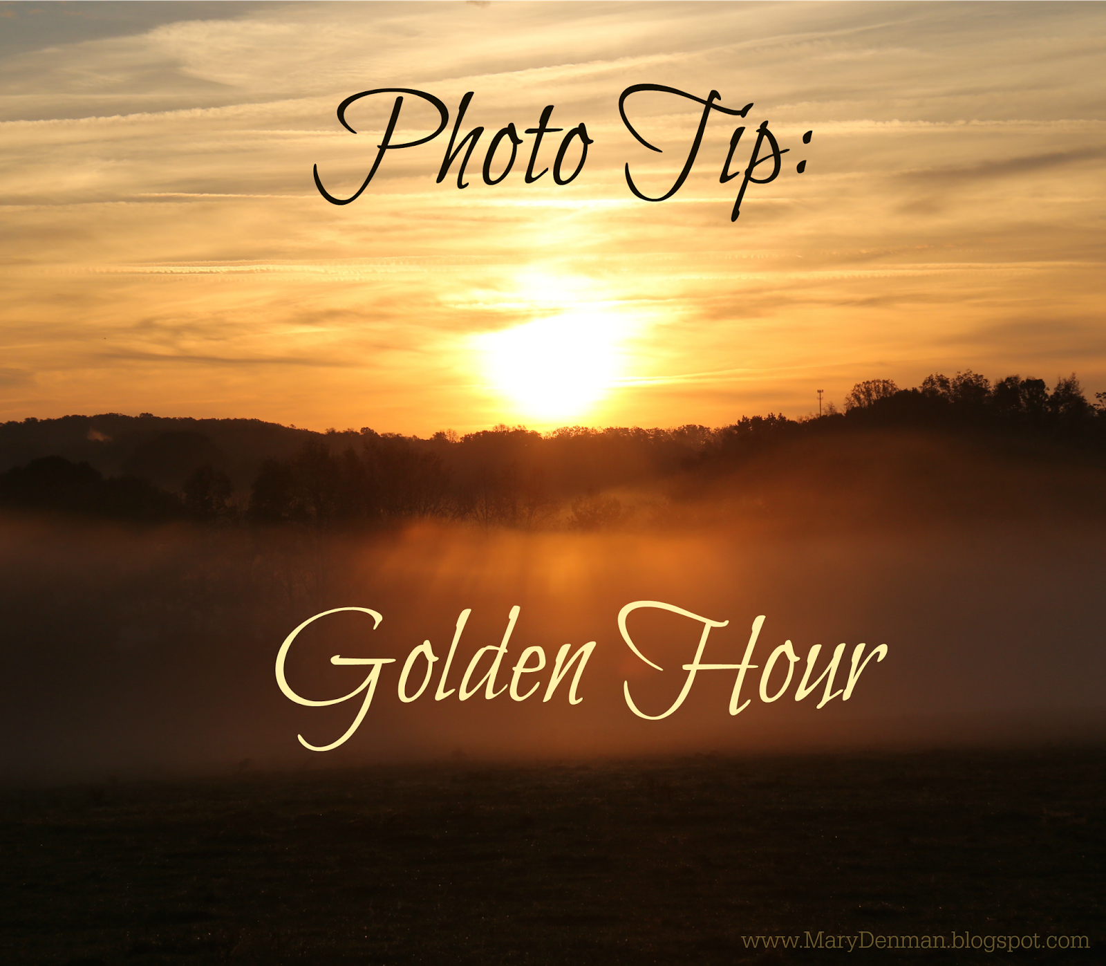 Mary Denman: Photo Tip Friday: What is Golden Hour in Photography? Part 1