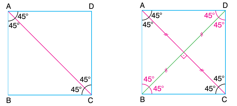 Karenin Özellikleri « Net Fikir