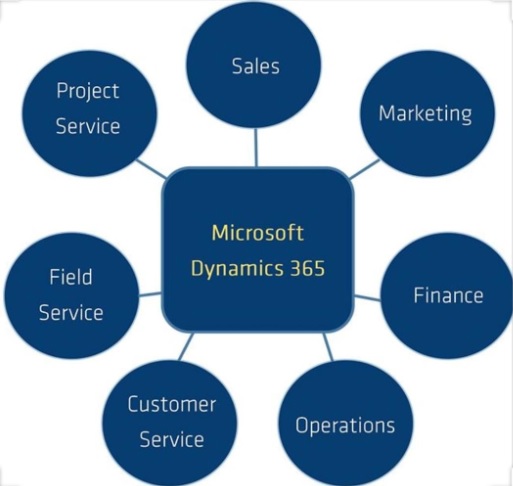 Discover the Real Value Microsoft Dynamic 365 Brings to your Business