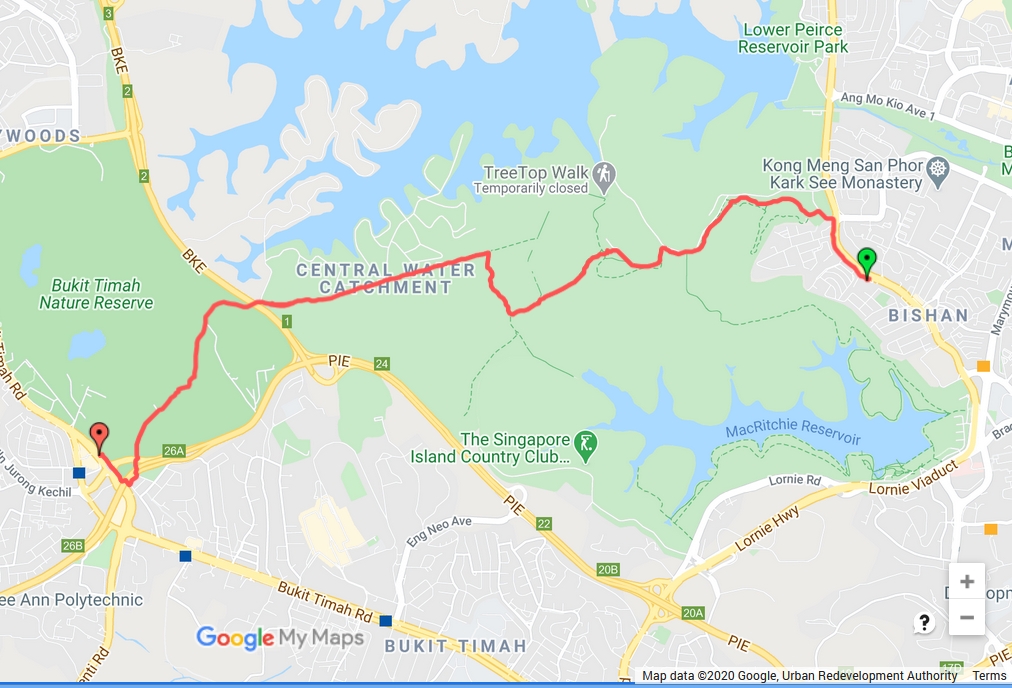 Singapore Walking Routes: MacRitchie Trail via Windsor Nature Park and ...