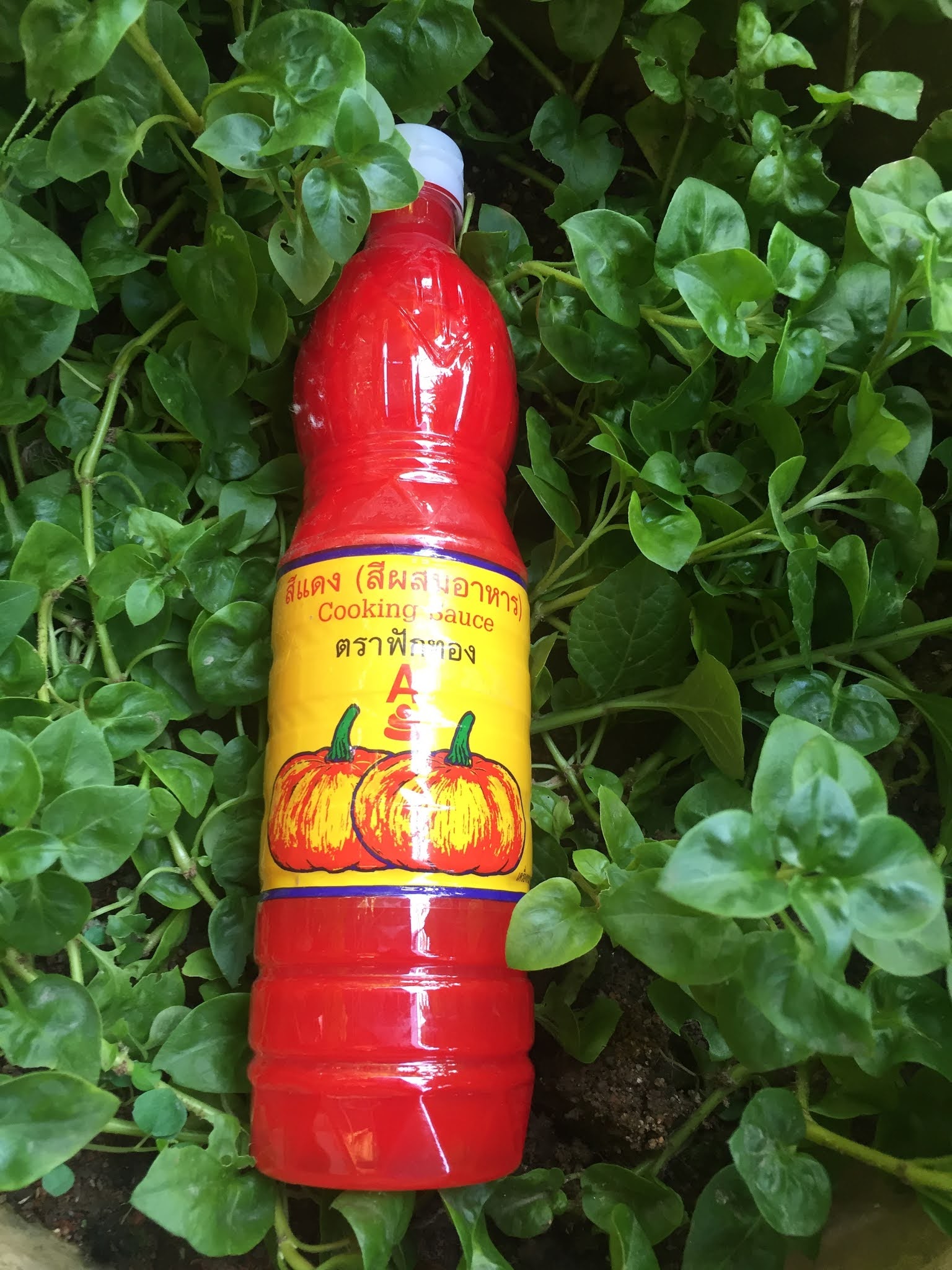 Sos Labu | Detik Detik Indah Dalam Hidupku