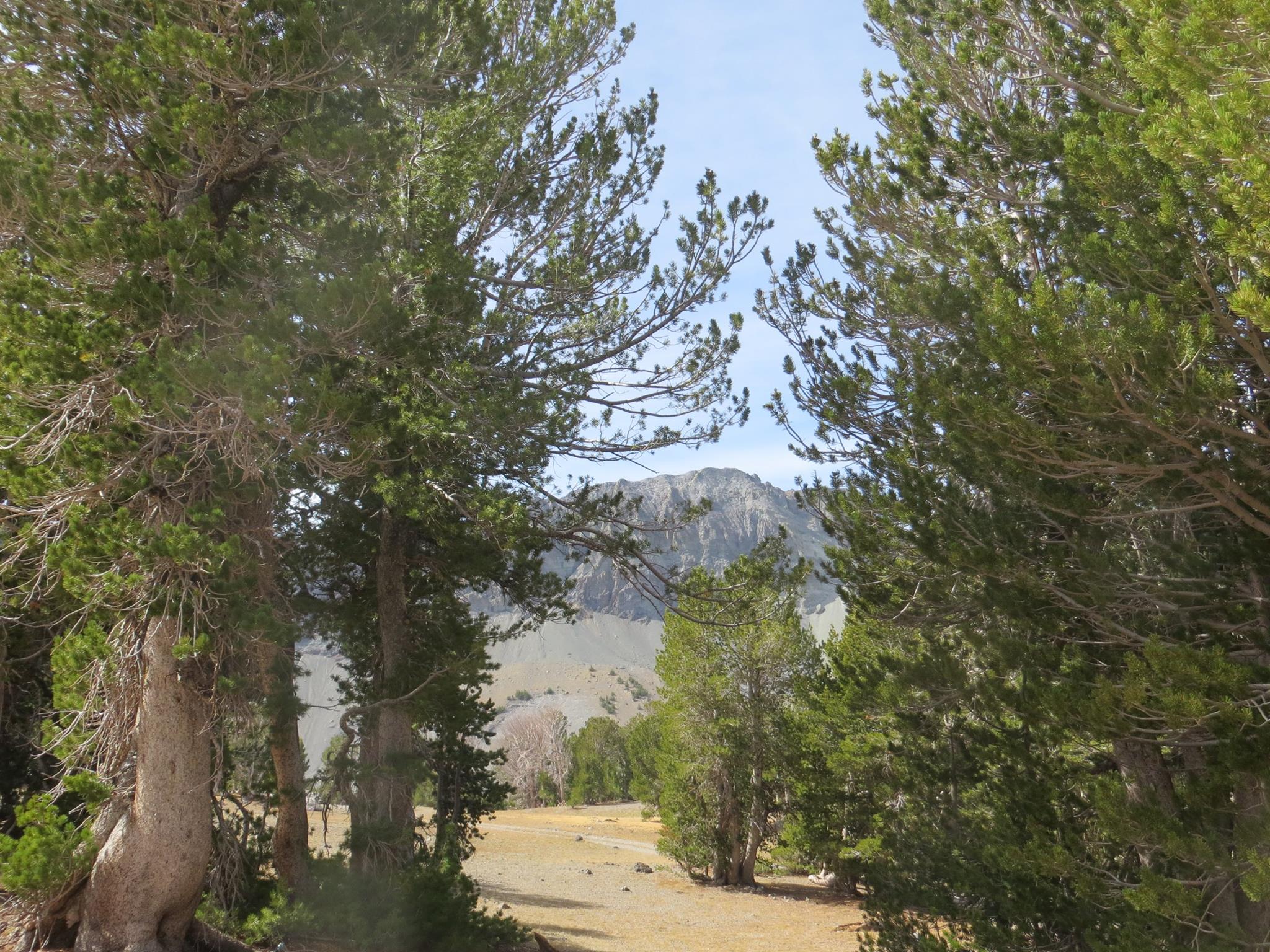 Tuolumne County Trailhead: TCT #45 -- Leigh Spokas and Joe Manlove