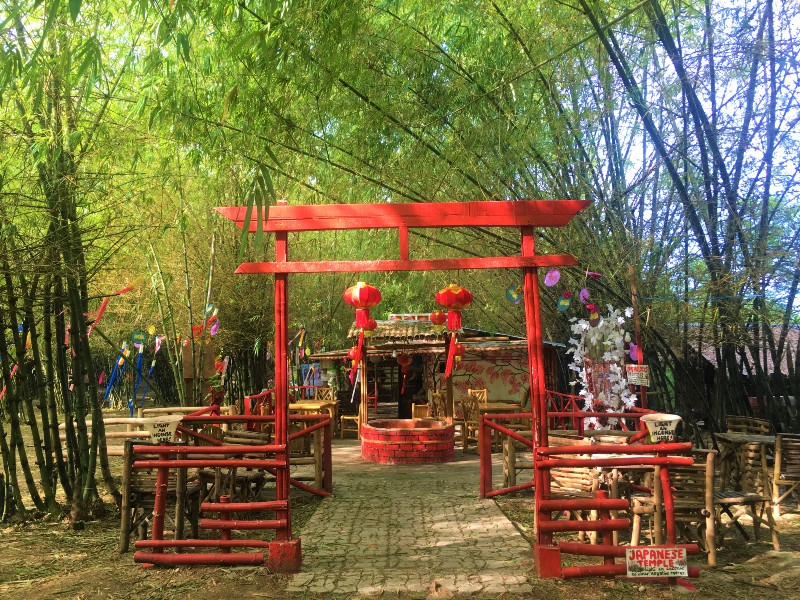 Bamboo Forest Entrance Fee, Operating Hours, How To Get There and an ...