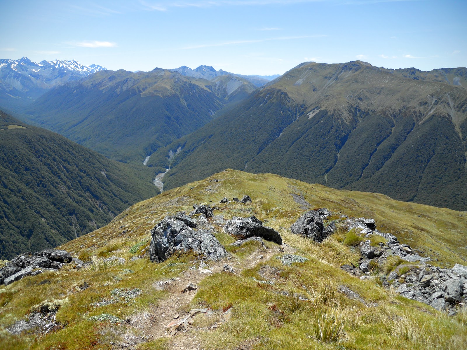 Tramping in the New Zealand backcountry: NZ Bush Adventures: Lewis Pass ...