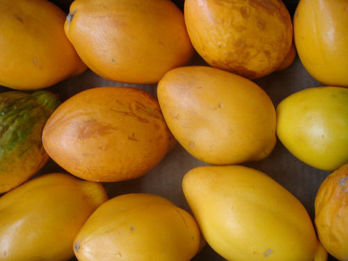 Gastronomía a Libreta Abierta, [=I=]: Caimito