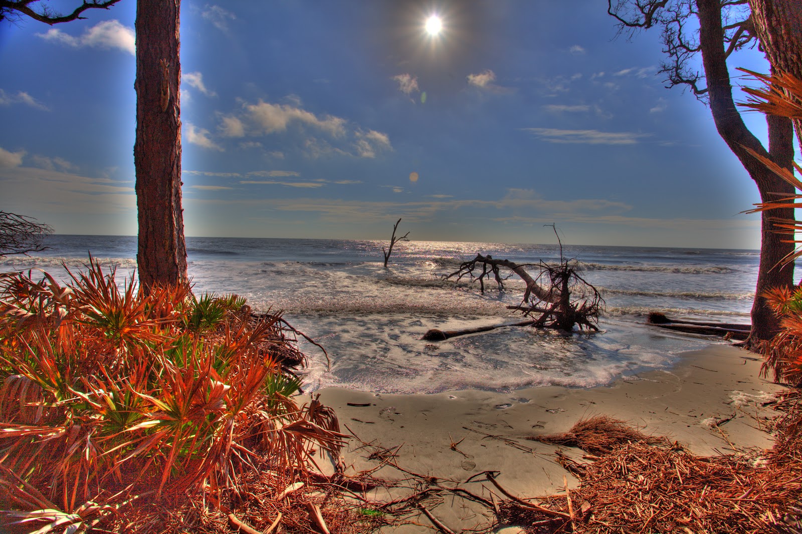 Lincoln's Domain: Hunting Island State Park in HDR