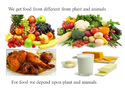 SONU ACADEMY: FOODS WE EAT-TEXT