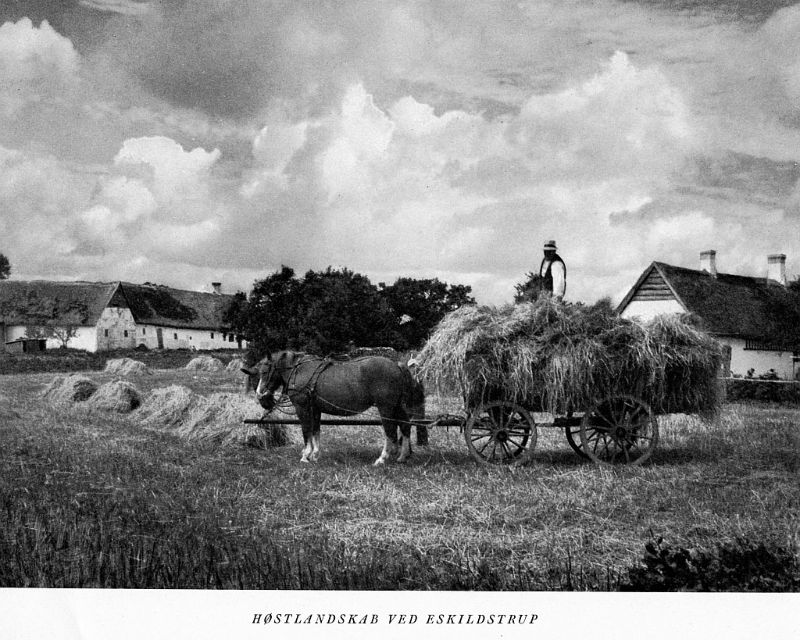 Amazing Pictures That Show Countryside of Denmark in the 1930s ...
