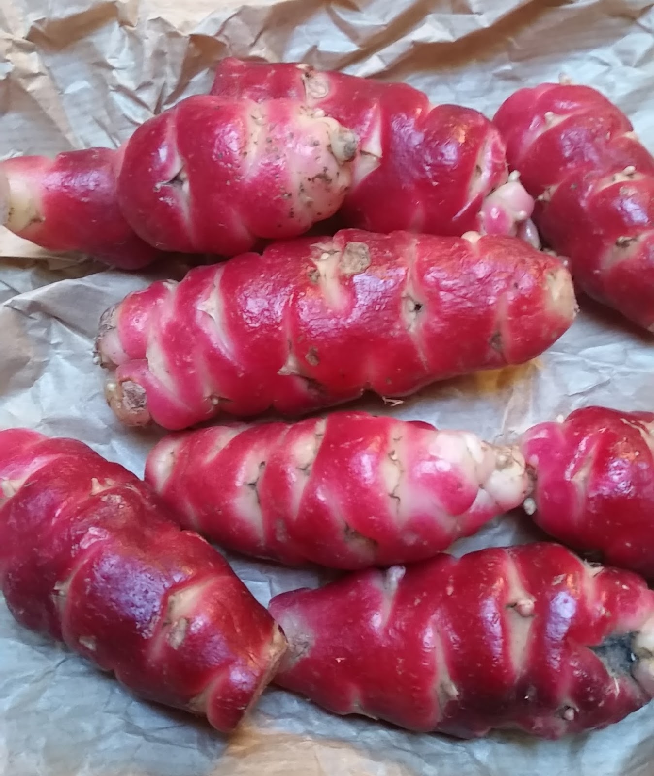 Recipes with Oca's as an ingredient (English) - oca-inspiration Oxalis ...