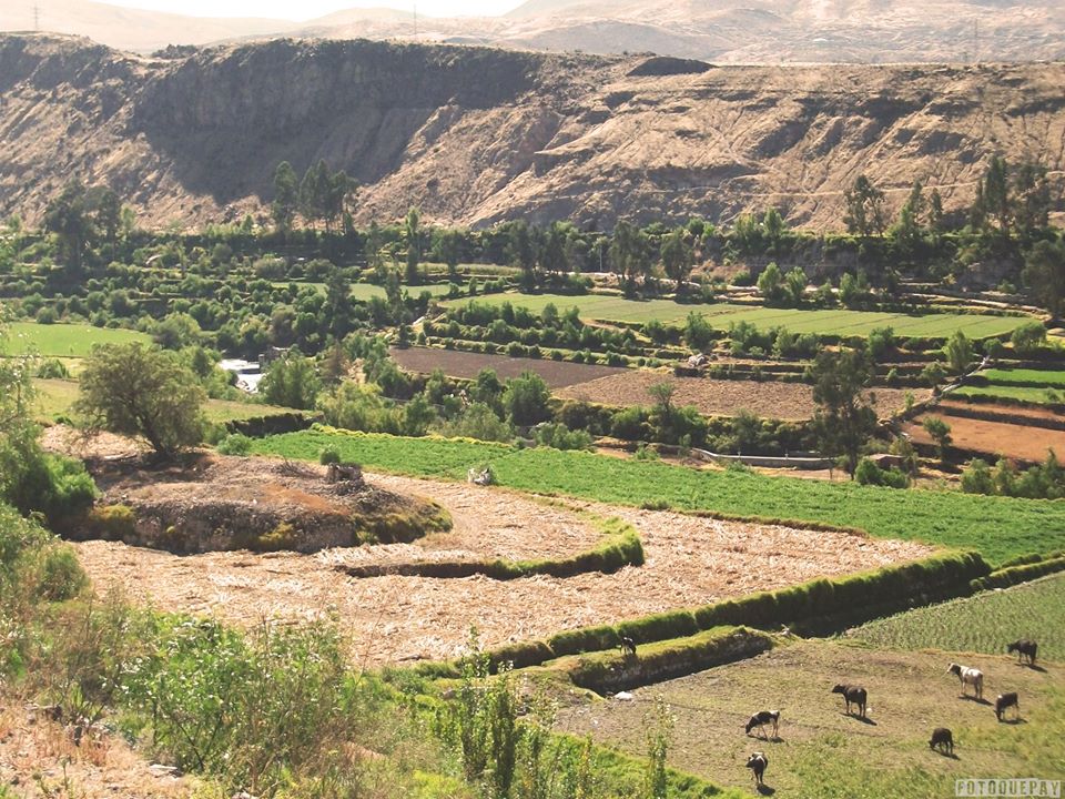 Valle de Chilina en Cayma