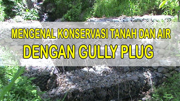 Mengenal Konservasi Tanah dan Air dengan Gully Plug - Nur Fadhilah Syahrawi