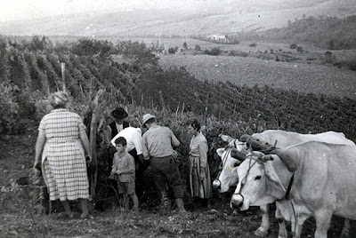 Old Days: old italy