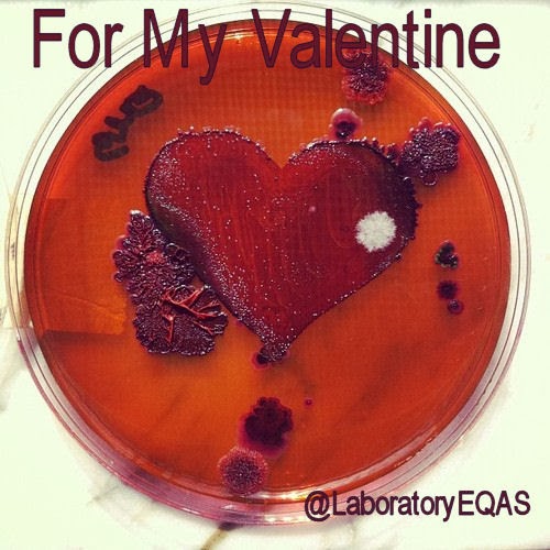 Medical Laboratory and Biomedical Science: Happy Valentine´s Day