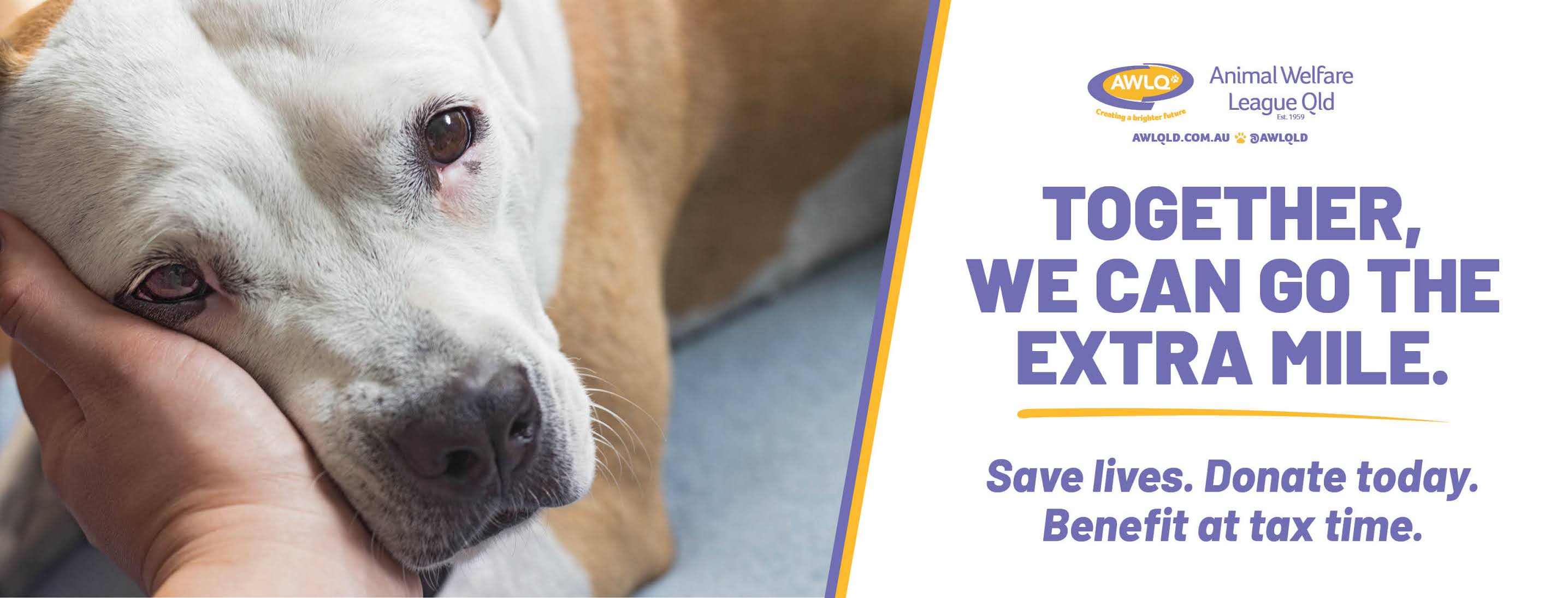 Animal Welfare League Queensland Tax Appeal 2021 | Australian Dog Lover