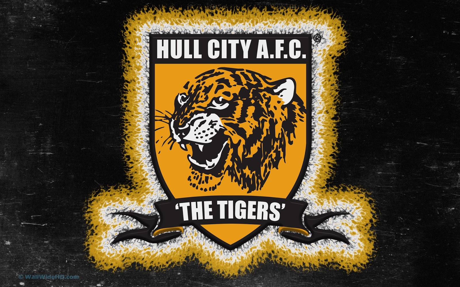 World Cup: Hull City FC Wallpapers - Jun