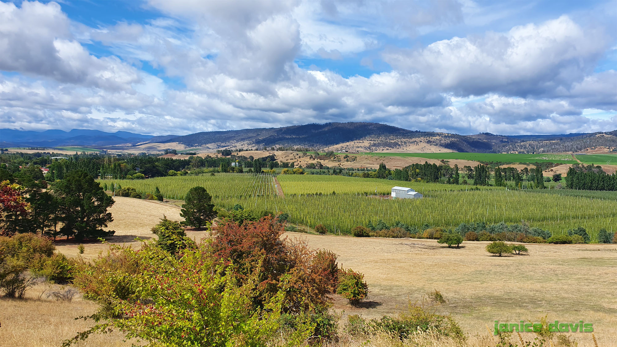 Another days drive in New Norfolk, Tasmania