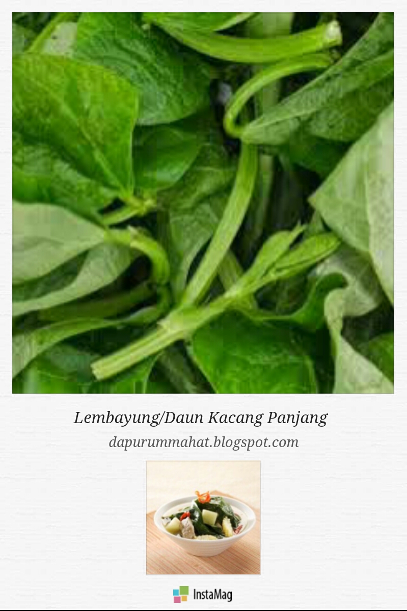 DaPuR UmMaHaT: TIPS DAN INFO (Mengenal Macam-Macam Sayuran ' Lembayung ')