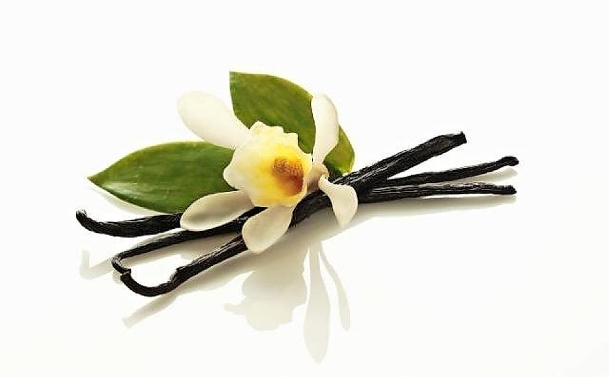 Vanilija - ljekovitost povrh neodoljivog mirisa i okusa