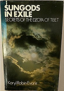 Batu-Batu Dropa (Dropa Stones) Hanyalah Tipuan? - Merinding.com