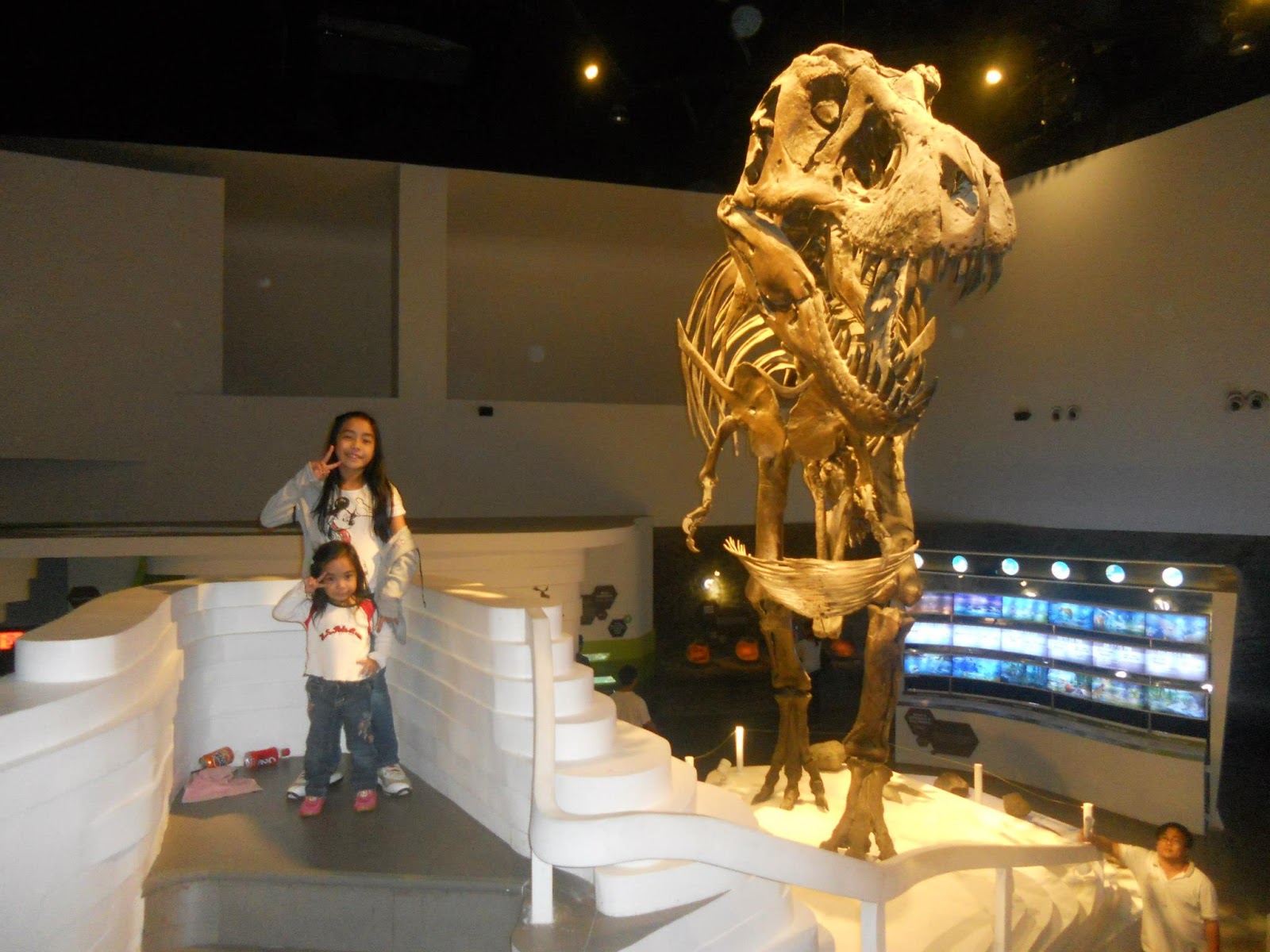 Best Educational Trips in Manila, Philippines: The Mind Museum