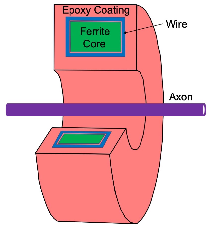 Intermediate Physics for Medicine and Biology: The Toroid Illustration ...