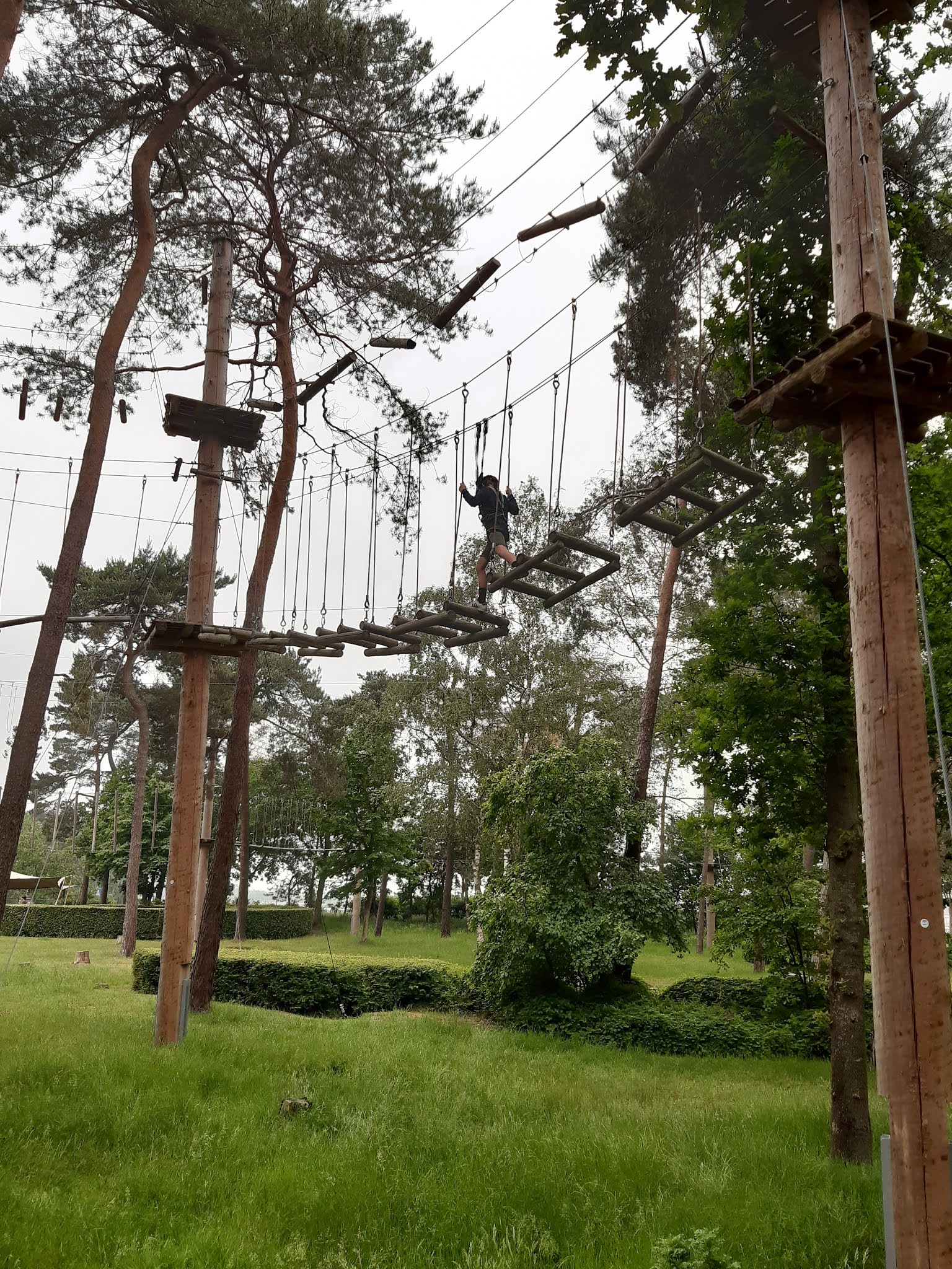 Walking Jeff: wandeling 2328 Meersel Dreef- Hoogstraten 18,5 km.