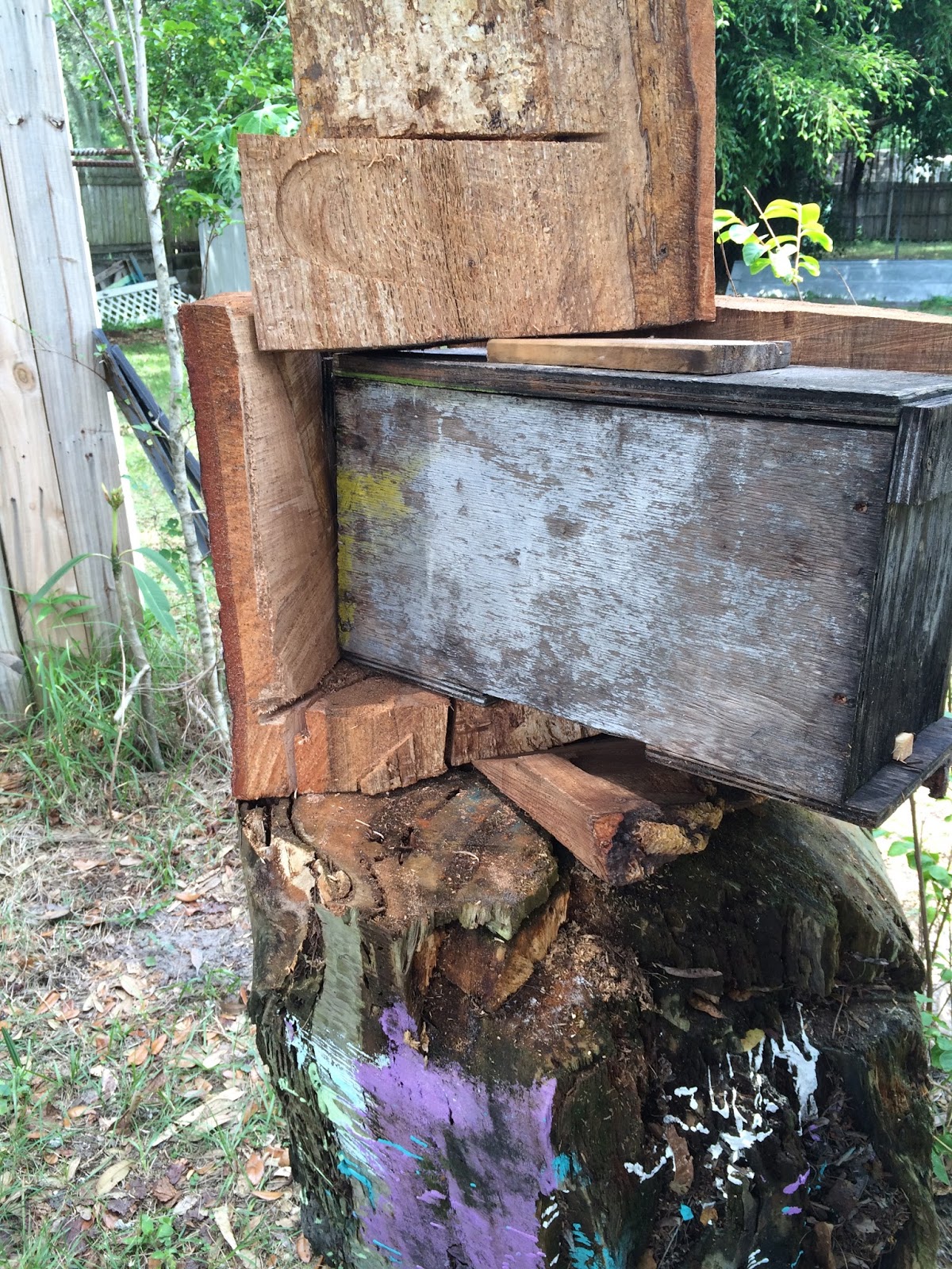 Florida Bee Farm: Bee Jail and a new Tree "nuc"