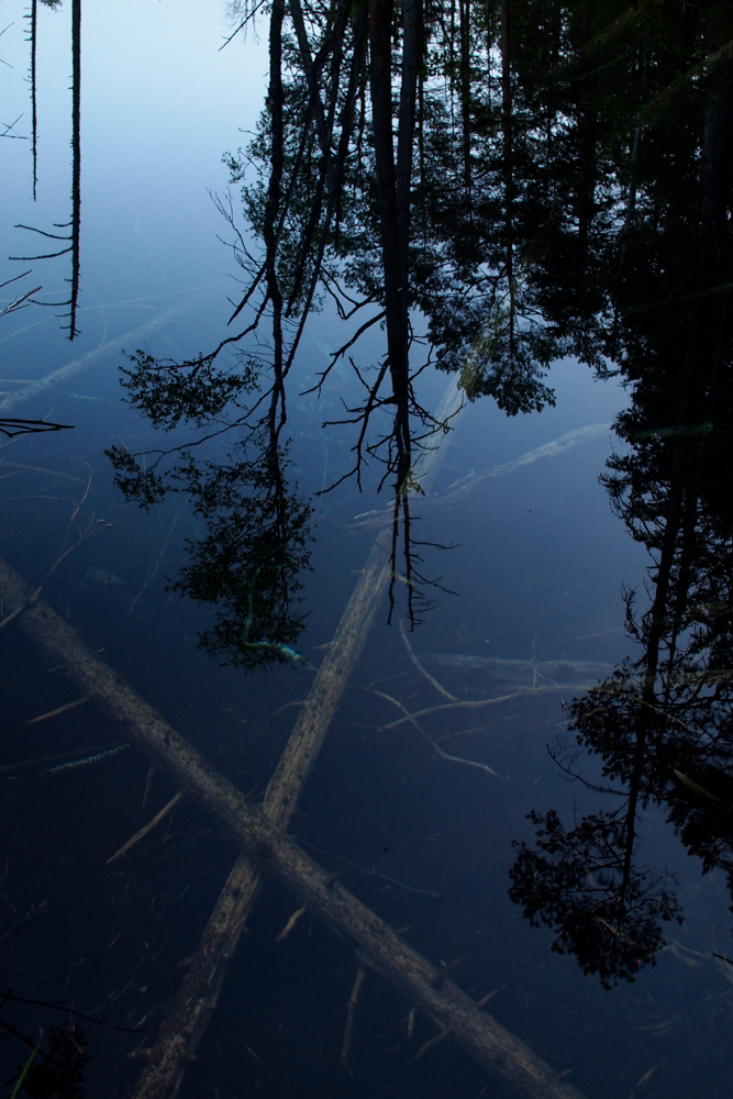 - Paranull -: Endla looduskaitseala.