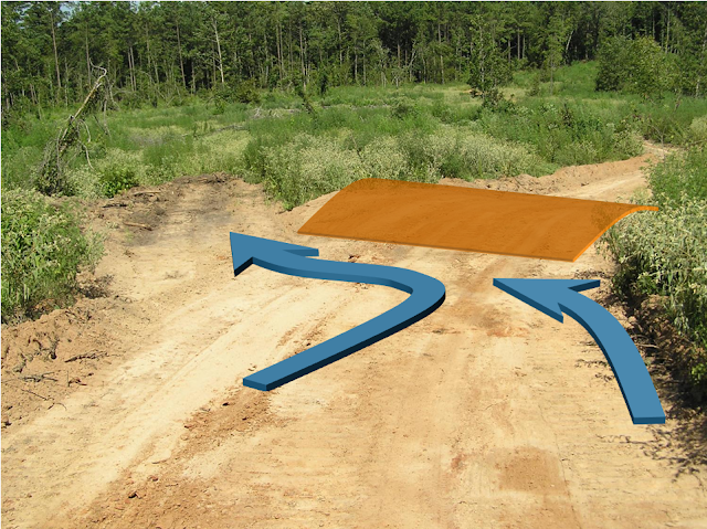 Texas A&M Forest Service: Water Resources: The basics of waterbars and ...