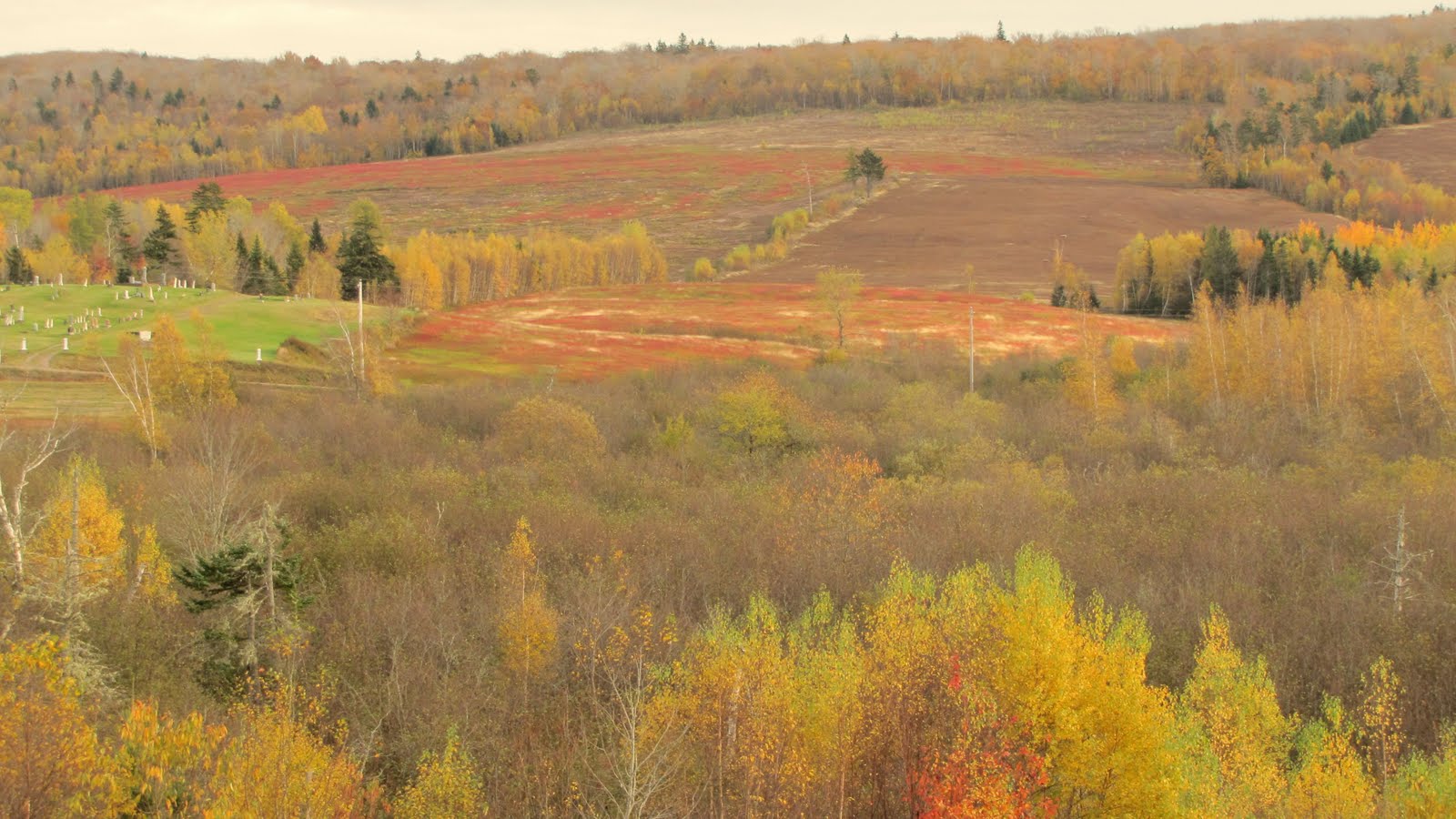 London-Wul Fibre Arts: FROM ROAD TRIP TO RUG