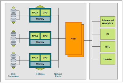 Netezza Data Warehouse: Netezza Architecture