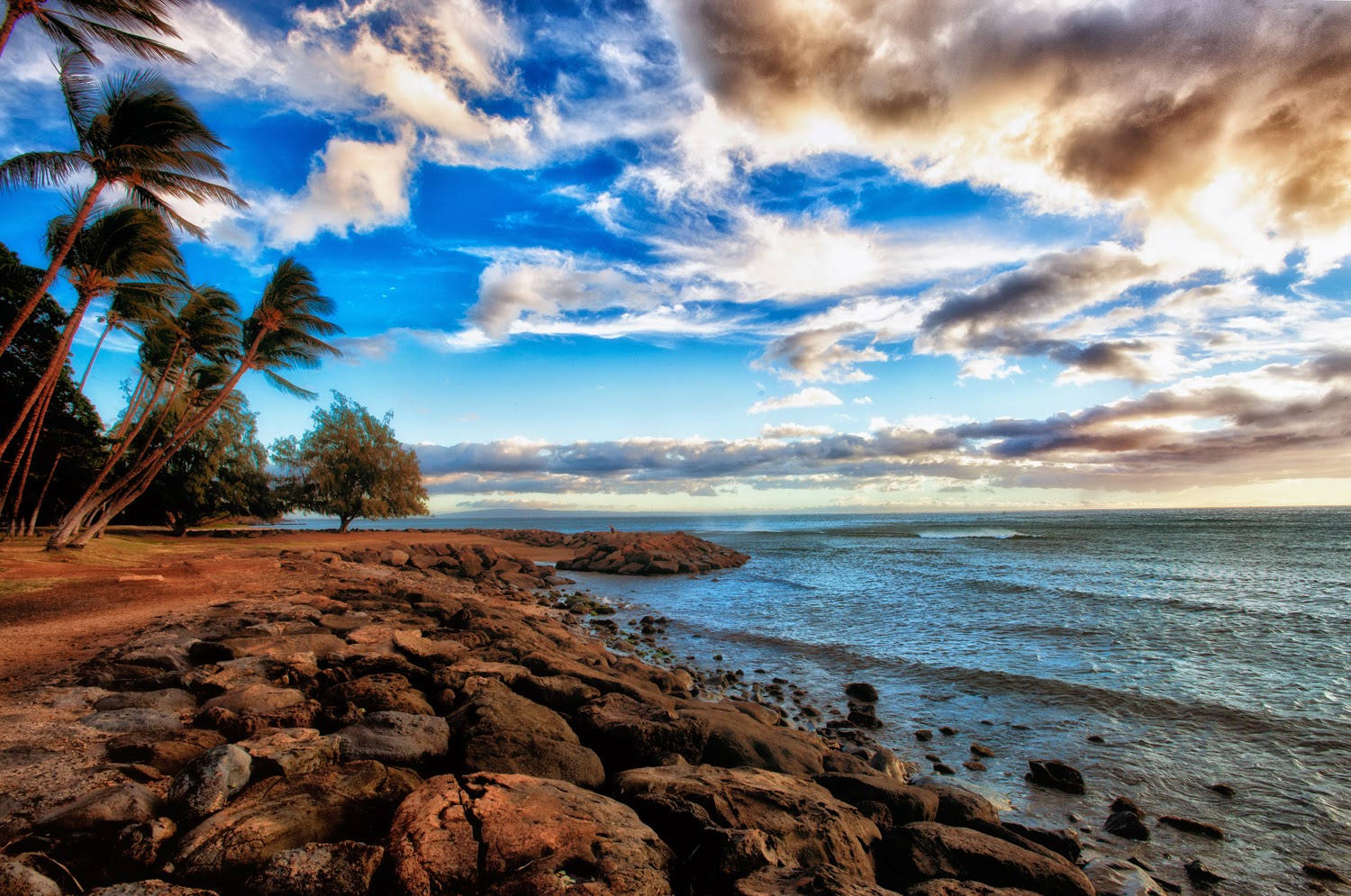 Shutterbugs Capturing the World Around Us: Some Beach, Some Where