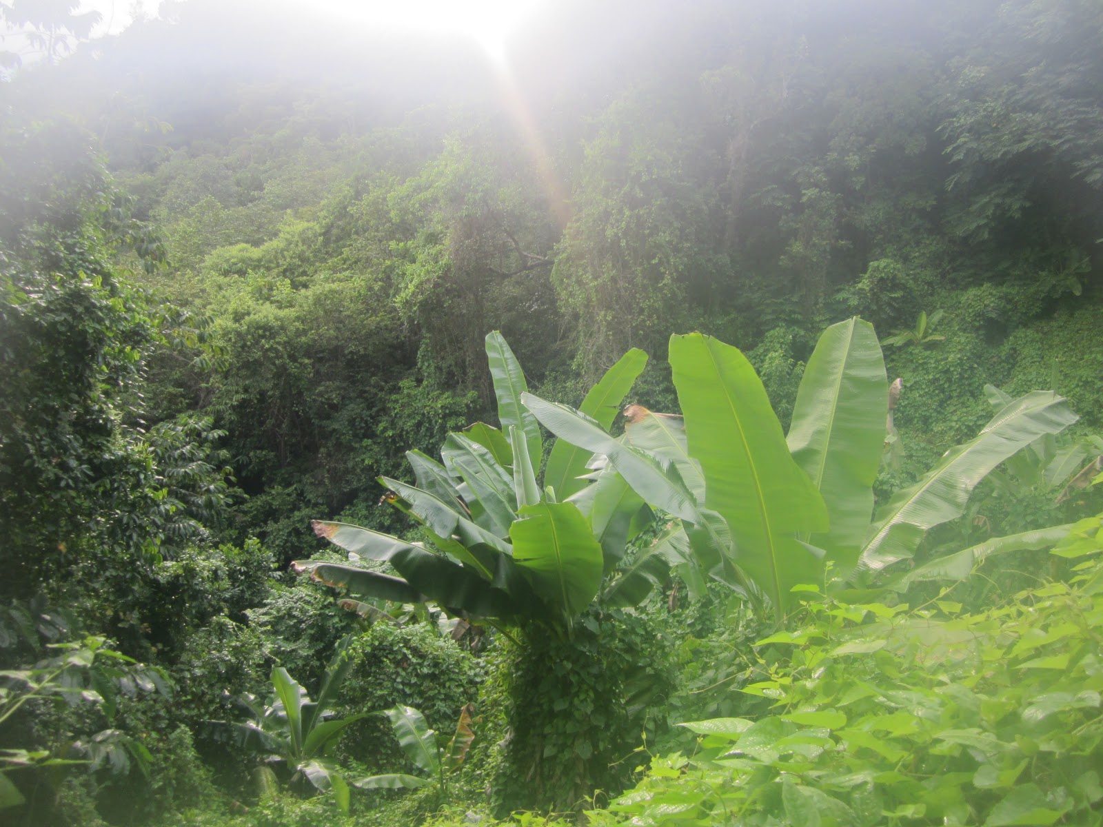 east coast heart and a west coast mentality: NASBR conference in Puerto ...