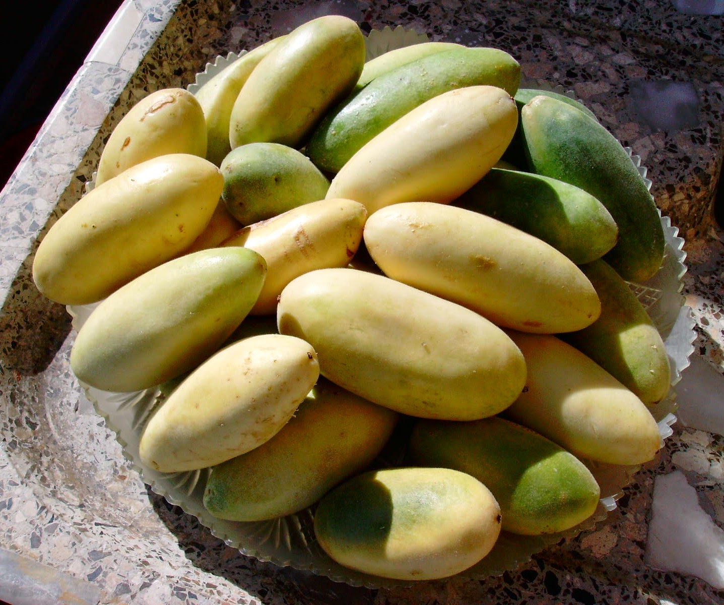 De tumbo en tumbo, por la vida | El Perro Rojo