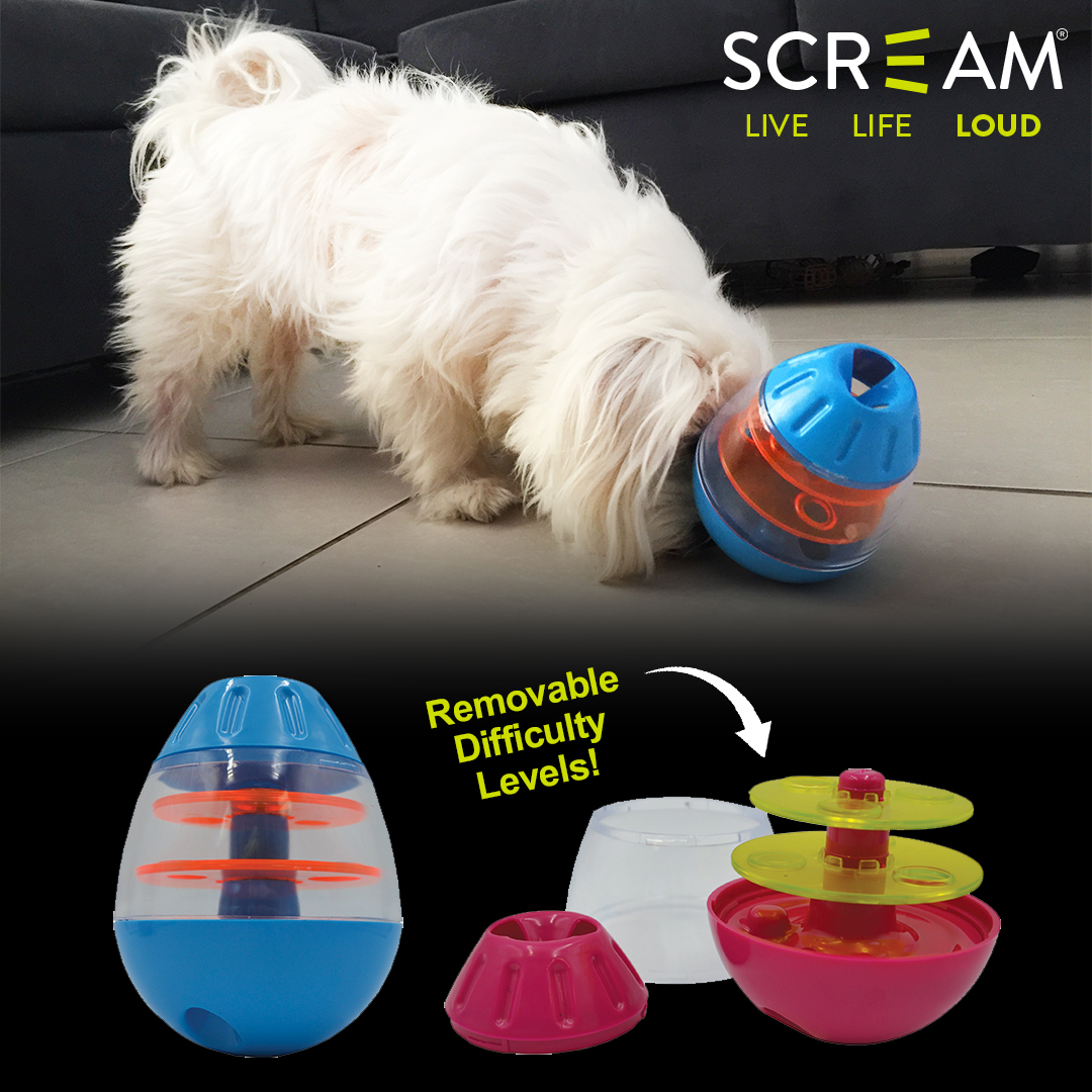 Best Dog Boredom Busters & Toys in 2021 | Australian Dog Lover
