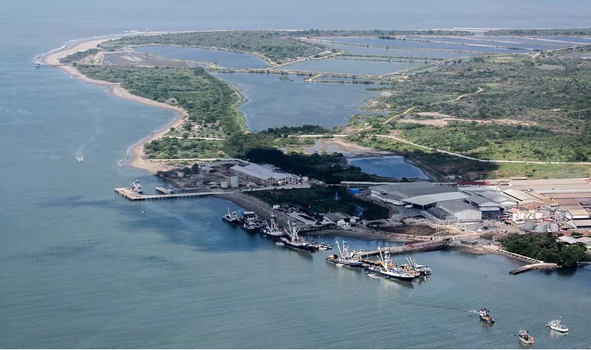 Cost Consultant's Blog: Dubai’s ports giant to build Ecuador’s first ...