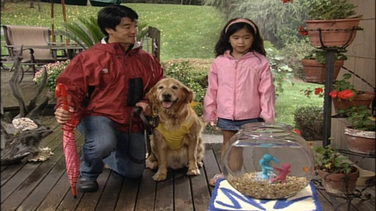 Watch Elmo's World Helping