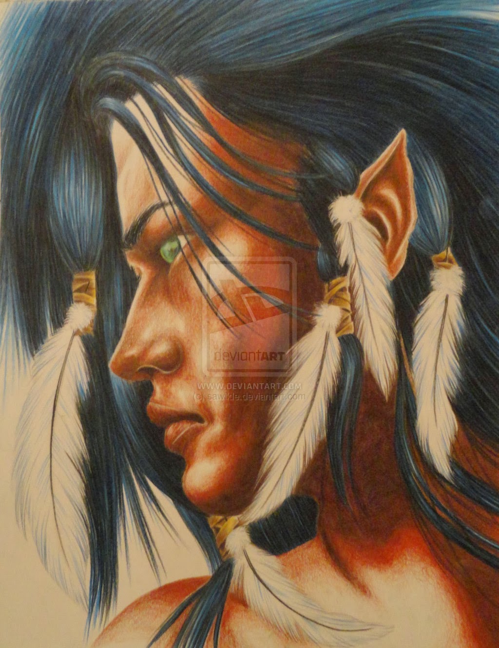 The Test Blog for Blogger and Gadgets: The Native American Story of the ...