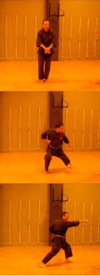 Step-through lunge punches as "stem cell movements"