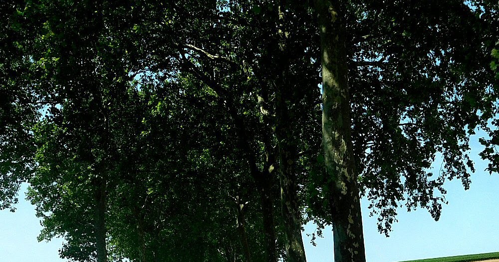 My Life in the Charente 2: A visit to Balluet